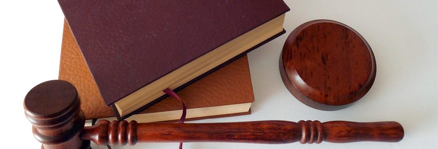 Avocat international : expert en droit international.