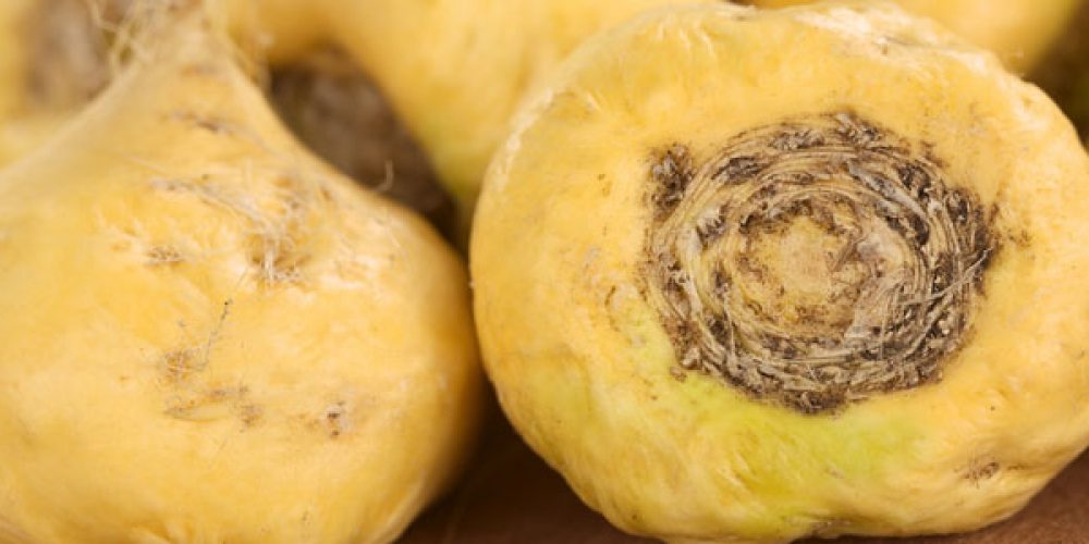 La consommation et les vertus de la maca du Pérou